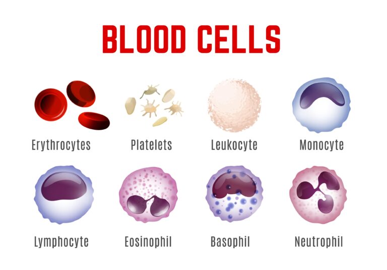 Pediatric Hematology - Ask Hematologist | Understand Hematology